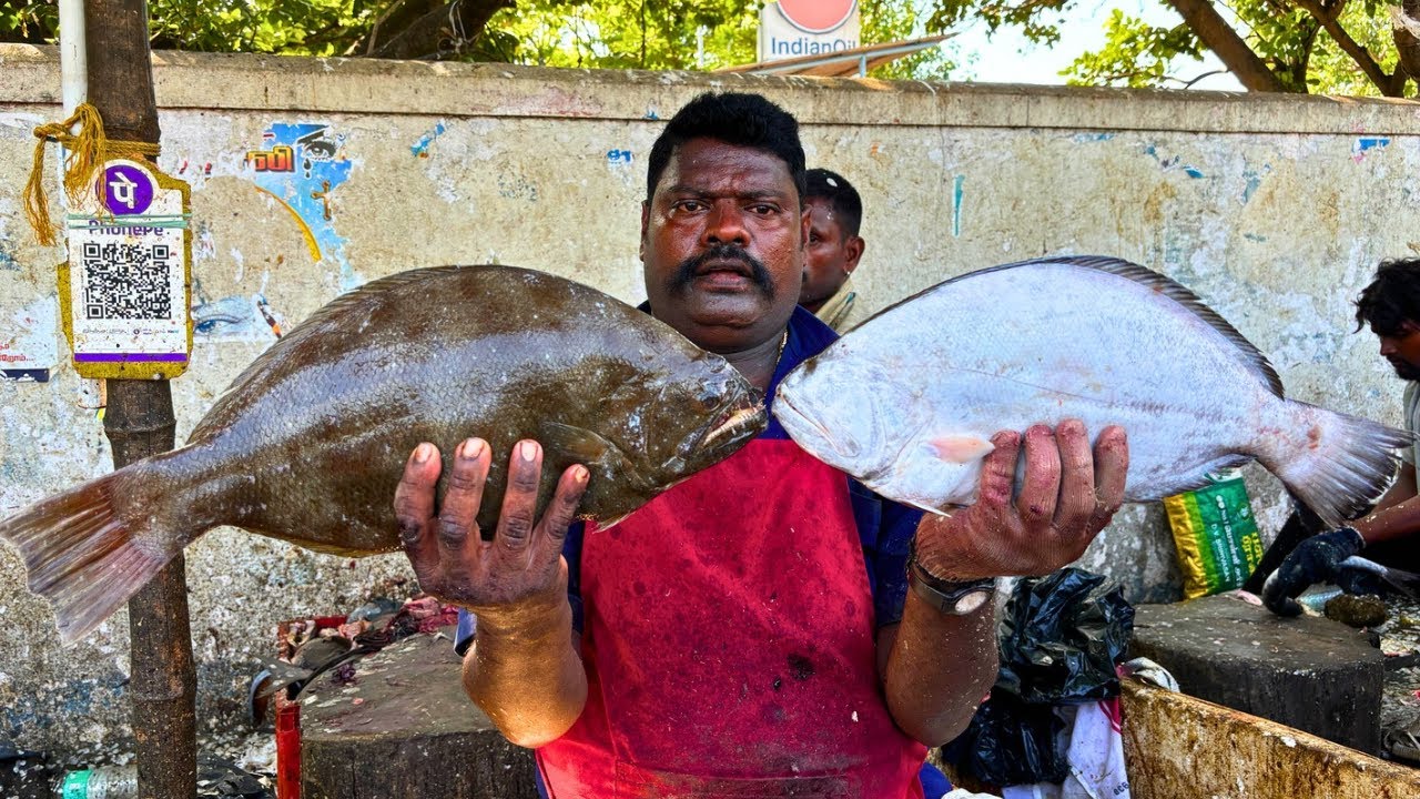 KASIMEDU SPEED SELVAM SOLE NAAKU FISH CUTTING VIDEO CUTTING FOCUS - YouTube