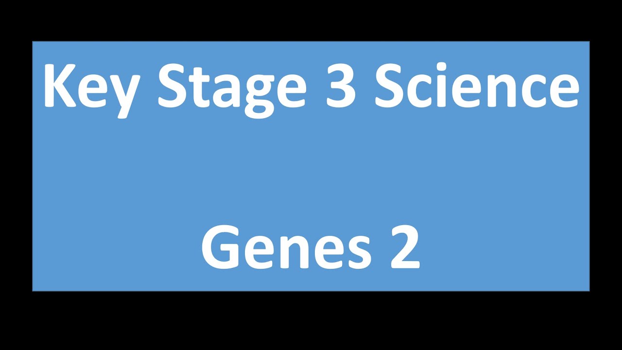 Genes review Y8 Science KS3 - YouTube