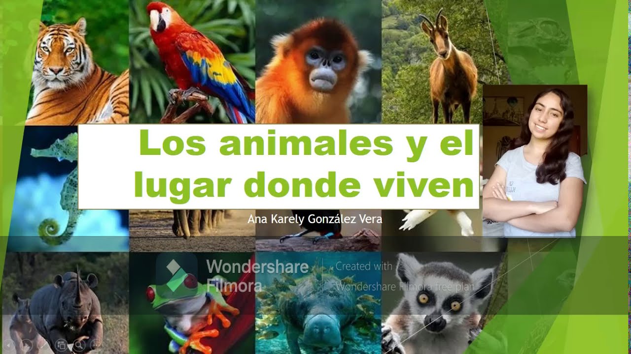 Los animales y el lugar donde viven. Conocimiento del medio, contenidos ...