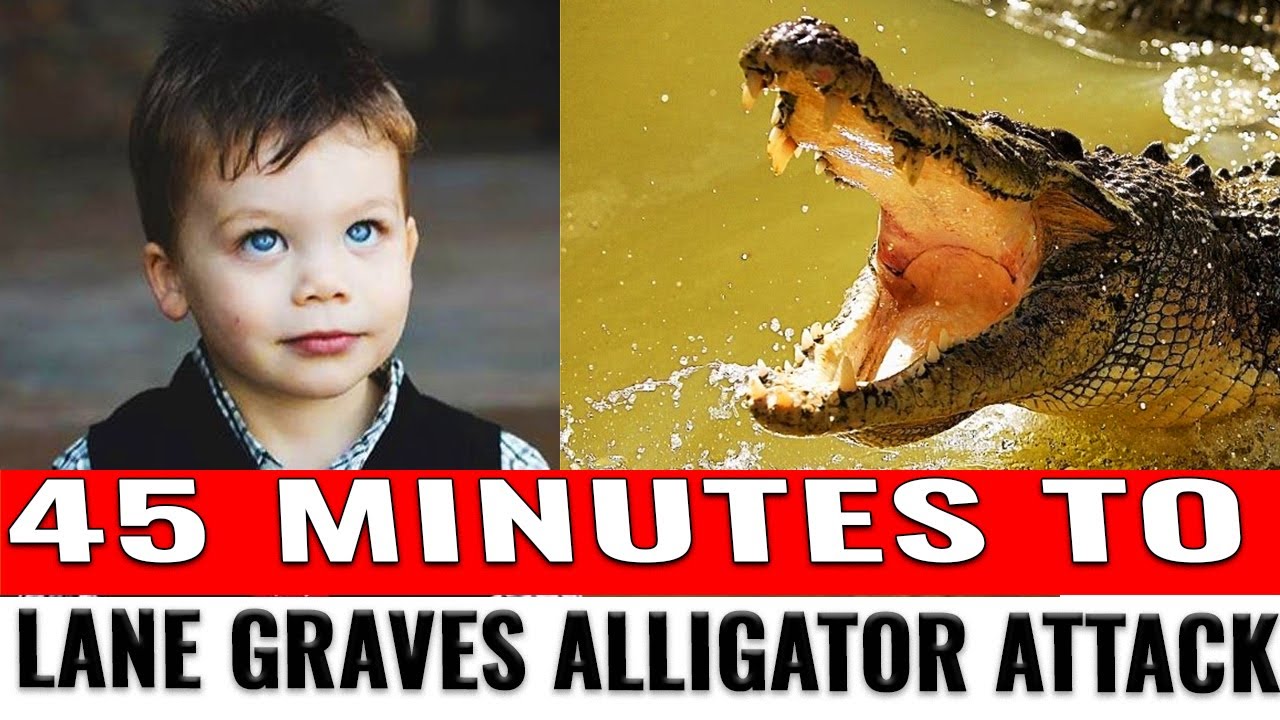 45 MINUTES to Lane Graves alligator attack - YouTube