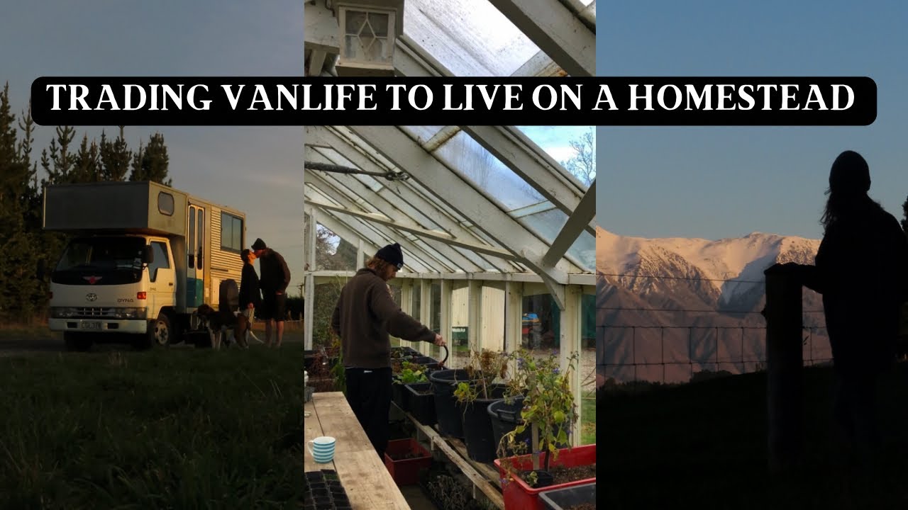 Trading van life to live on a homestead - YouTube
