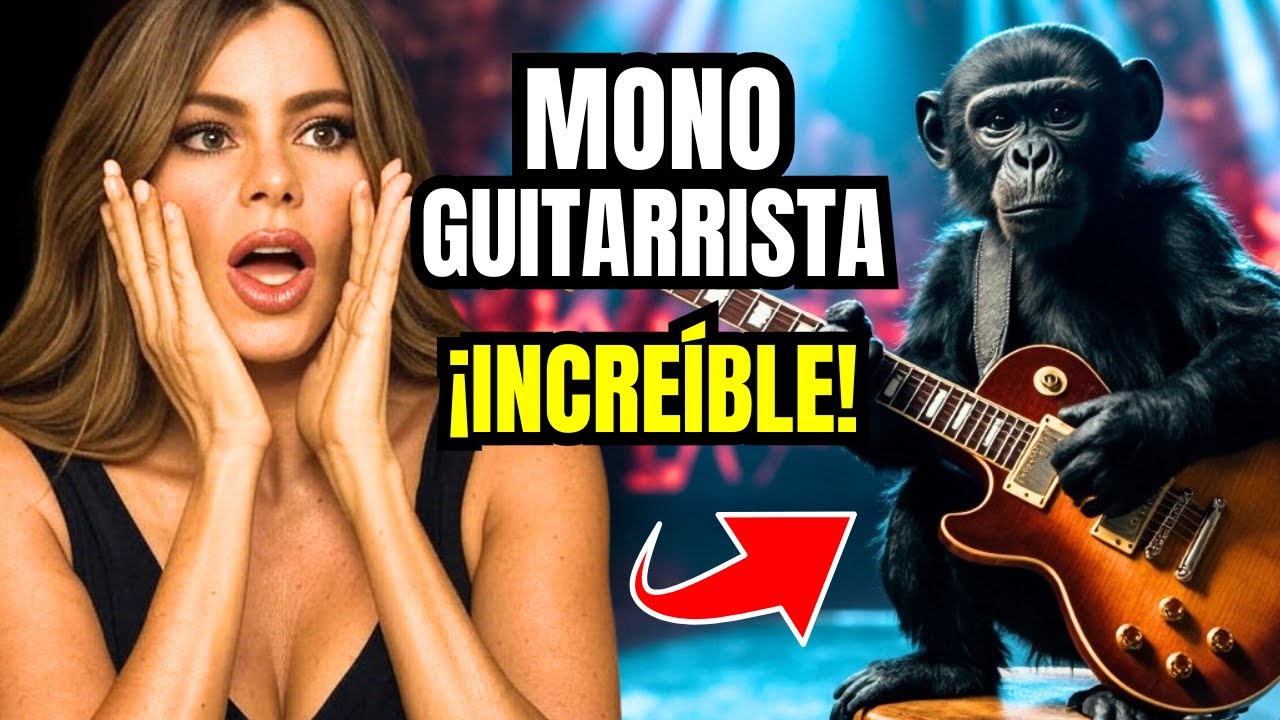 ¡No lo Vas a Creer! El Mono Guitarrista Que Dejó al Jurado Sin Palabras ...