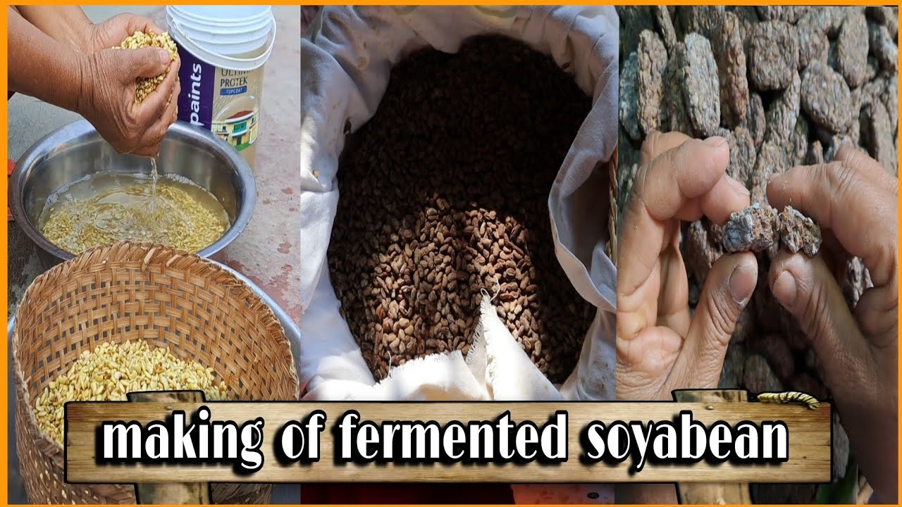PROCESS and MAKING of fermented soyabean(HAWAIJAR) || MANIPURI home ...