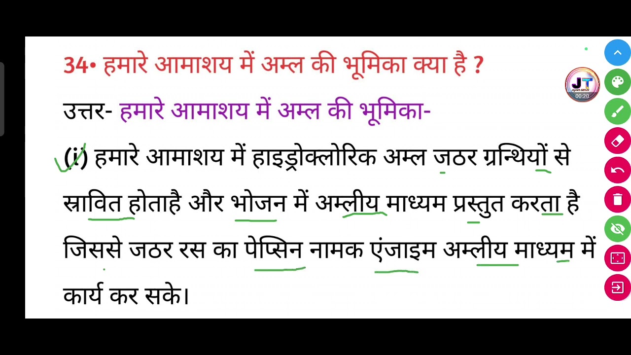 हमारे आमाशय में अम्ल की क्या भूमिका है? | hamare amashay mein aml ki ...