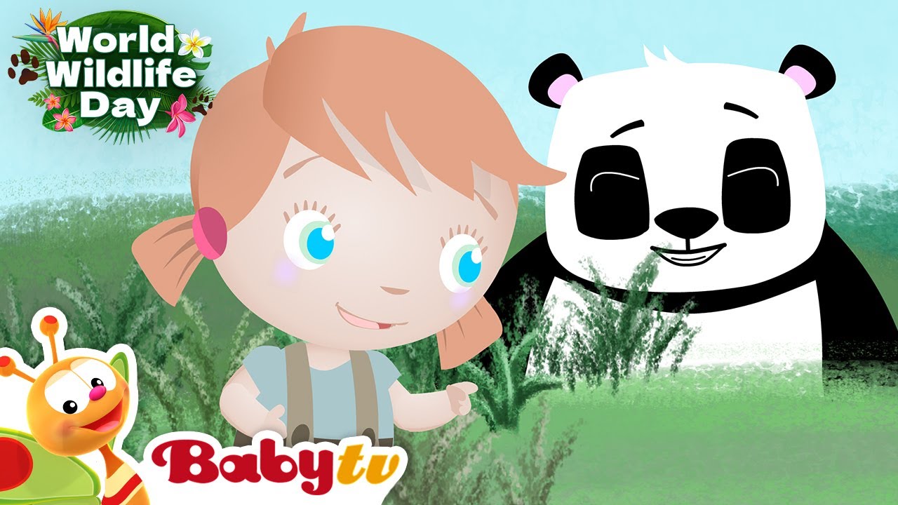 Dzikie zwierzęta dla dzieci 🐼 🦁 | Żyrafa, panda i lew | Światowy Dzień ...