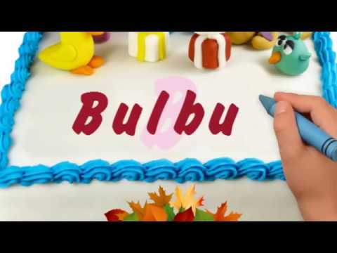 Happy Birthday Bulbul - YouTube