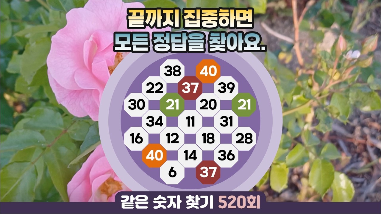 같은숫자찾기 520회 끝까지 집중하면 모든 정답을 찾아요 같은숫자찾기 퀴즈 치매예방퀴즈 두뇌활성화 Number Search Quiz 脳トレ 数字探し