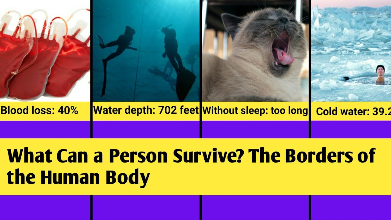 What can a person survive? The borders of the human body | Comparison ...
