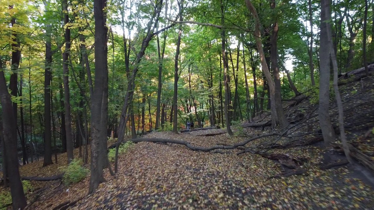 ROSEDALE VALLEY RD TRAIL - YouTube