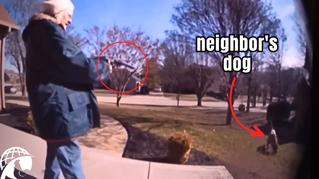 The WORST Neighbors Ever Caught on Camera [Vol. 3] - YouTube