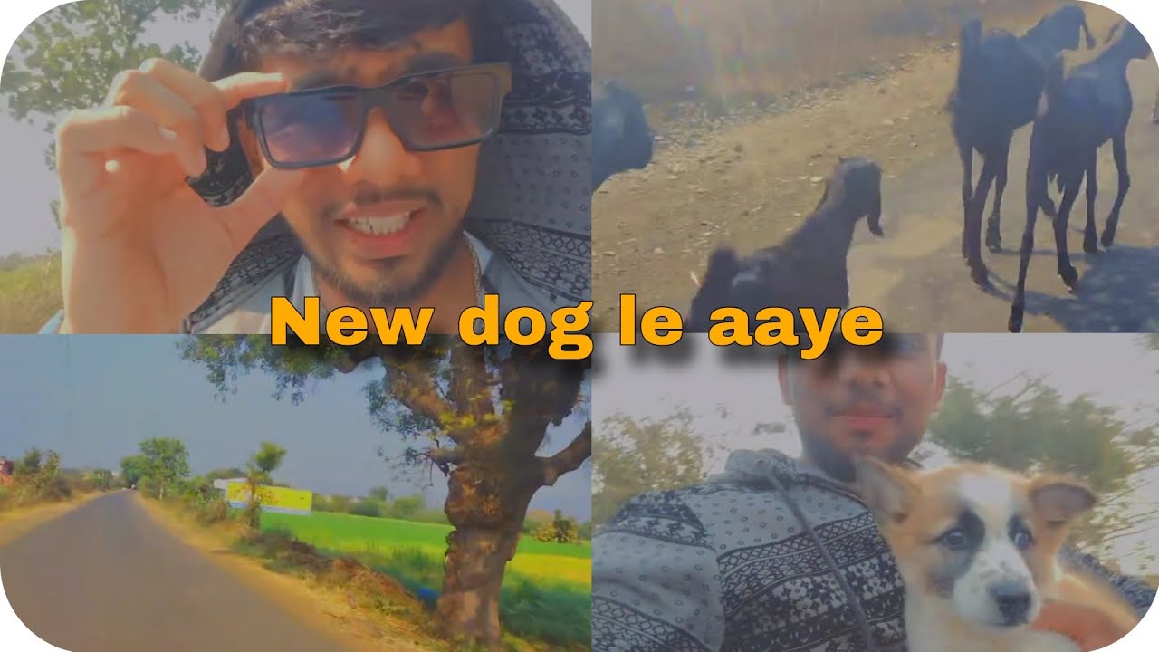 new dog le aaya - YouTube