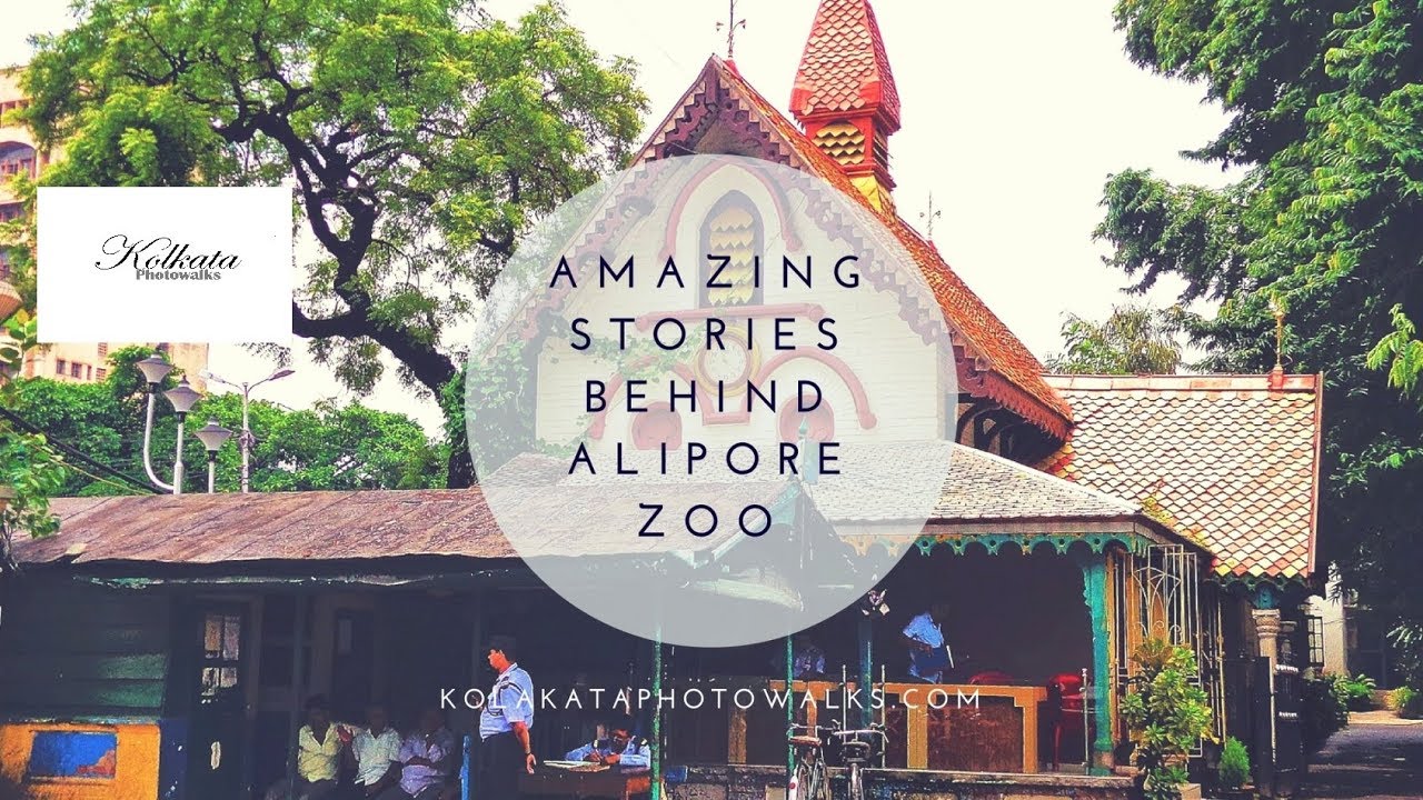 Alipore Zoo| Famous hangout of Kolkata | Untold Stories Behind Alipore ...