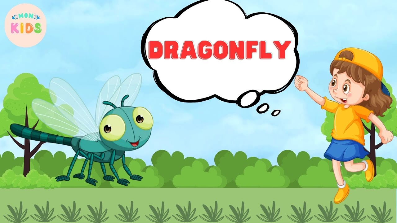 Dragonfly Facts For Kids 😊 Learn All About Dragonflys | MON Kids - YouTube