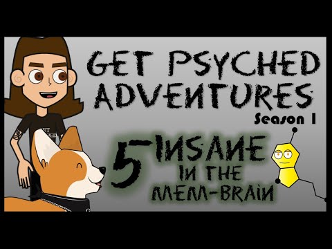Get Psyched Adventures - S1E5: Insane in the Mem-Brain! - YouTube