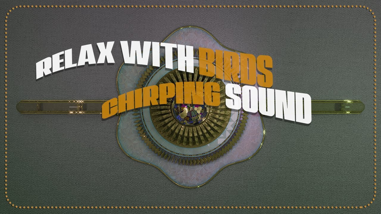 Relax with Birds Chirping Sound | Relaxation LOOP | 1 HOUR | 4K - YouTube