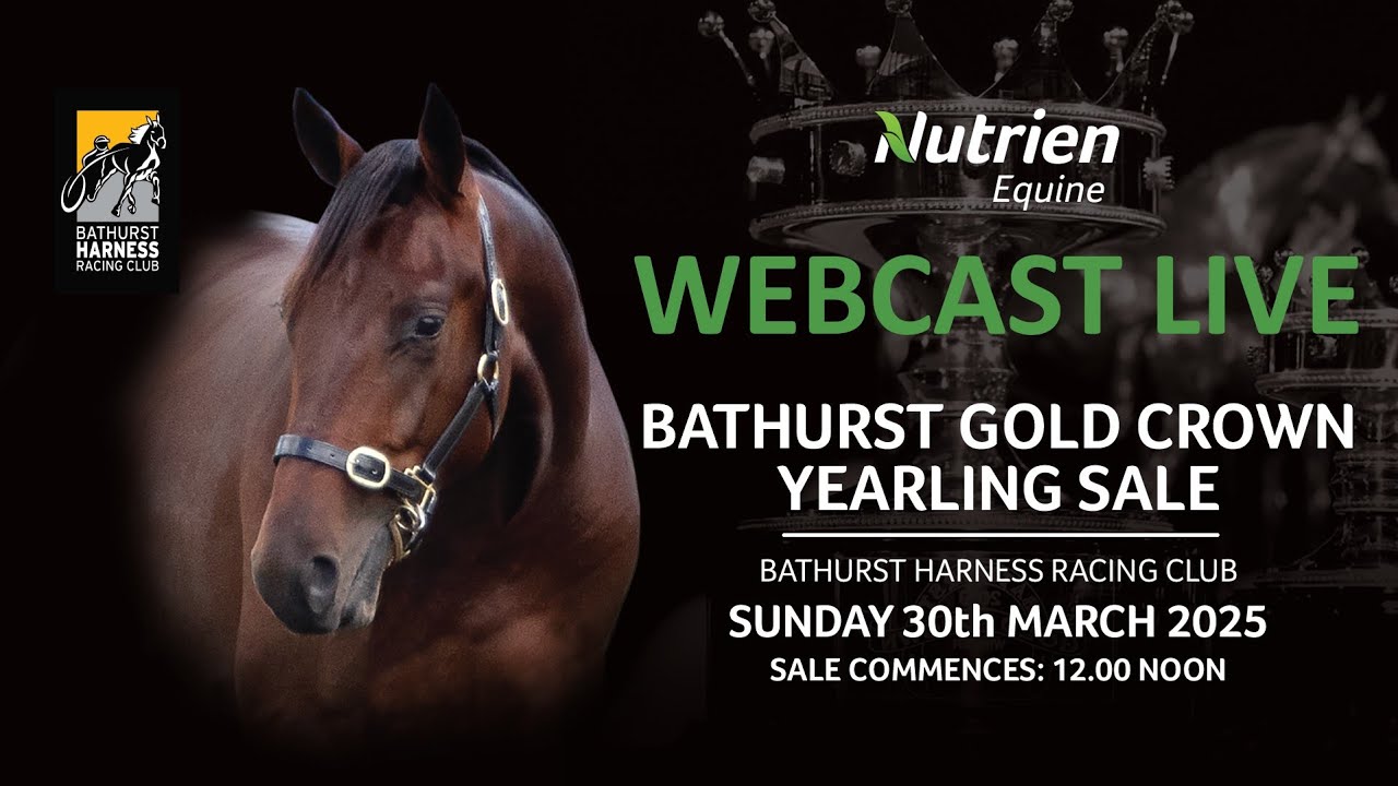 Bathurst Gold Yearling Sale 2025 - YouTube