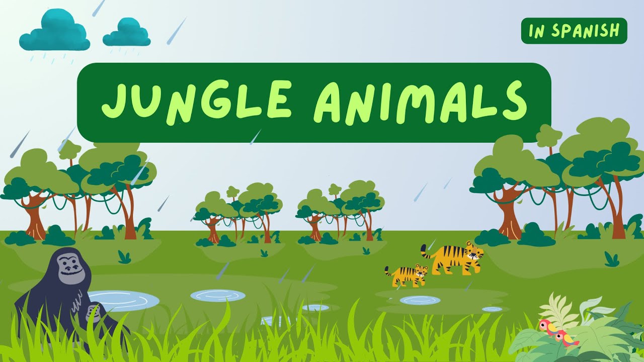 JUNGLE ANIMALS ~ 🩵💚🧡 🦍 Los Animales de la Selva 🐊🌿 - YouTube
