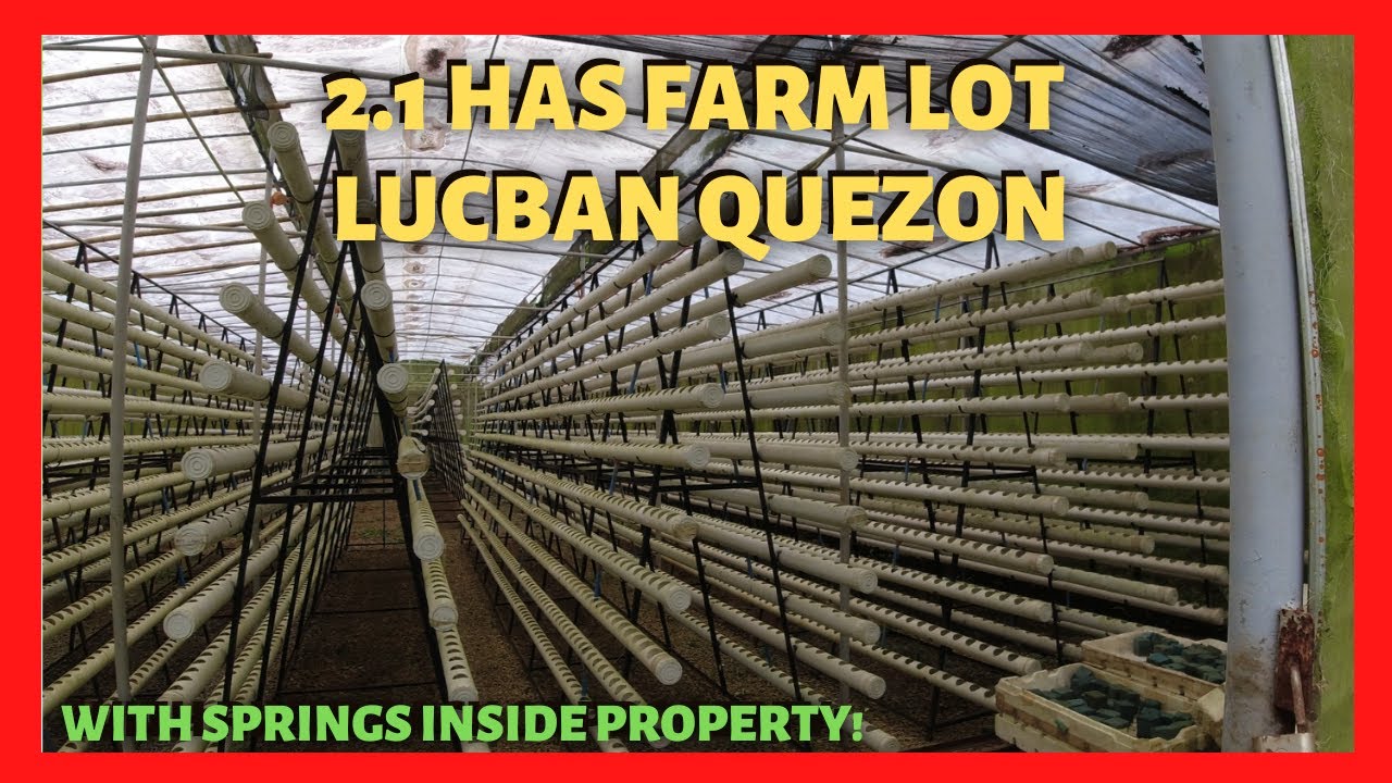 2.1 has Farm Land in Lucban Quezon for Sale (Lot Code: 2338) - YouTube