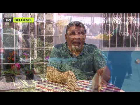 Damağımın Tadı Yüreğimin İzi |  2.Bölüm