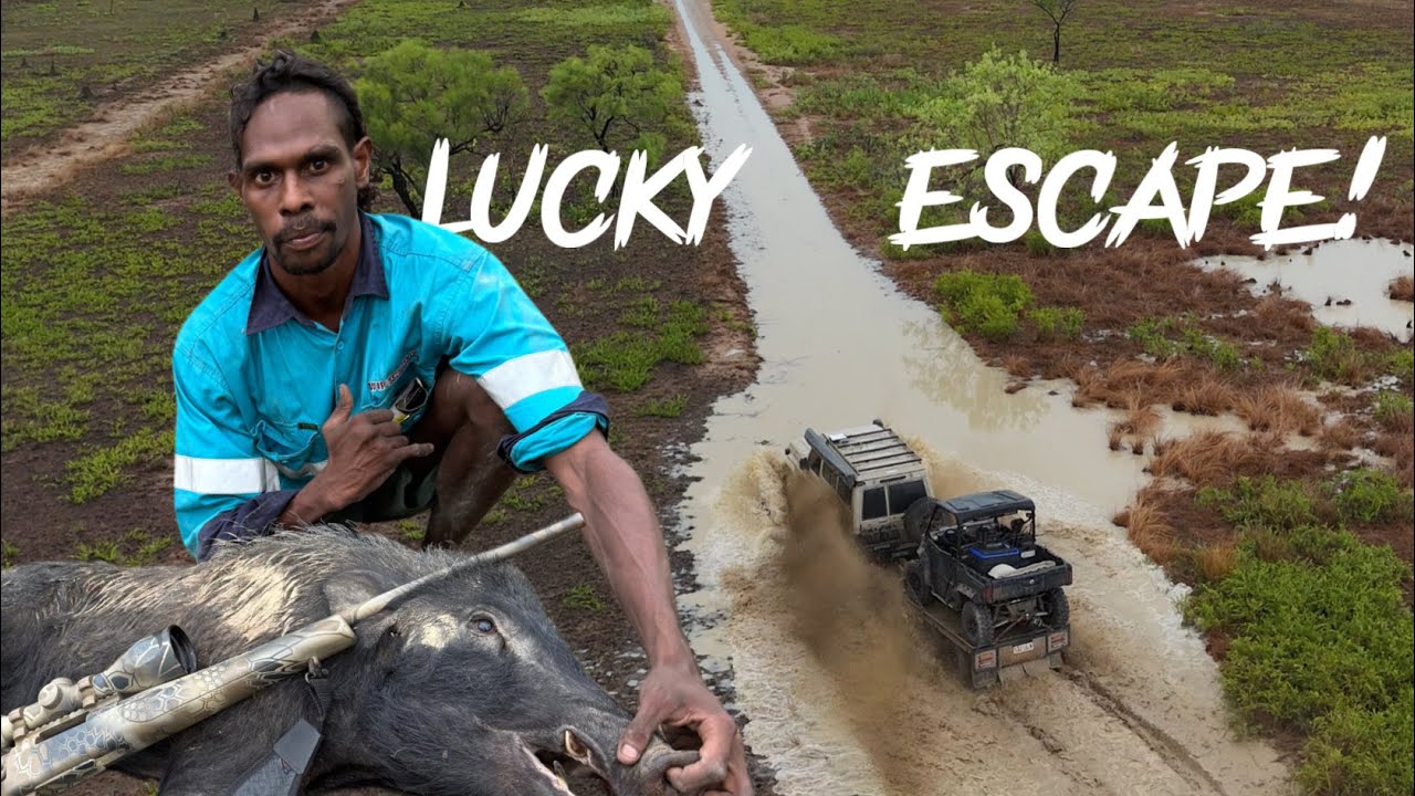 Lucky escape! - YouTube