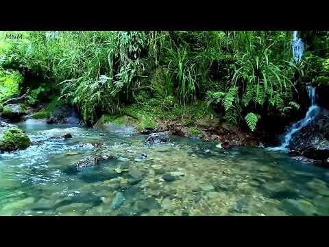 Melodies of Nature, Harmonious Birdsong, Flowing Water Sound in the Mountains