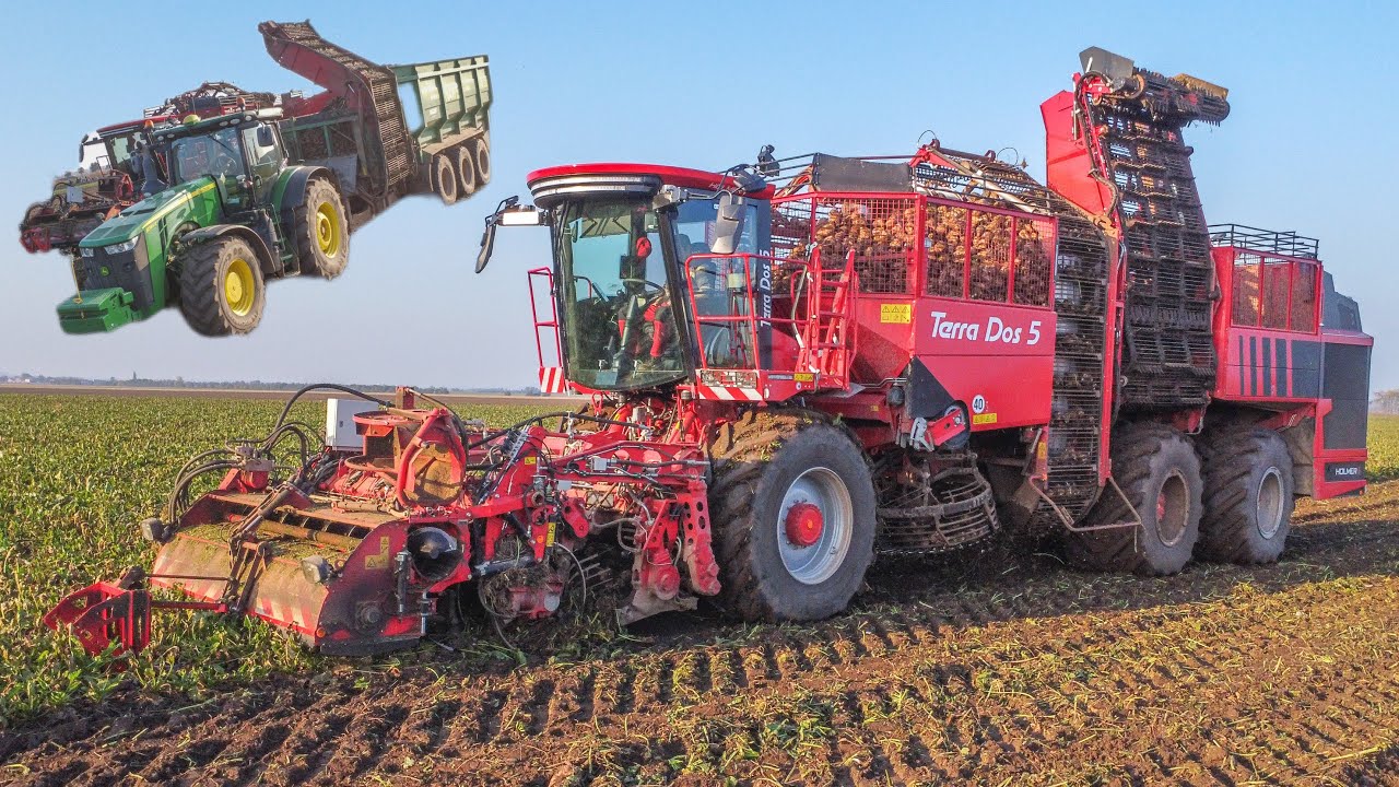 Nový Holmer Terra Dos T5-40 |Sklizeň cukrové řepy 2024 | John Deere ...