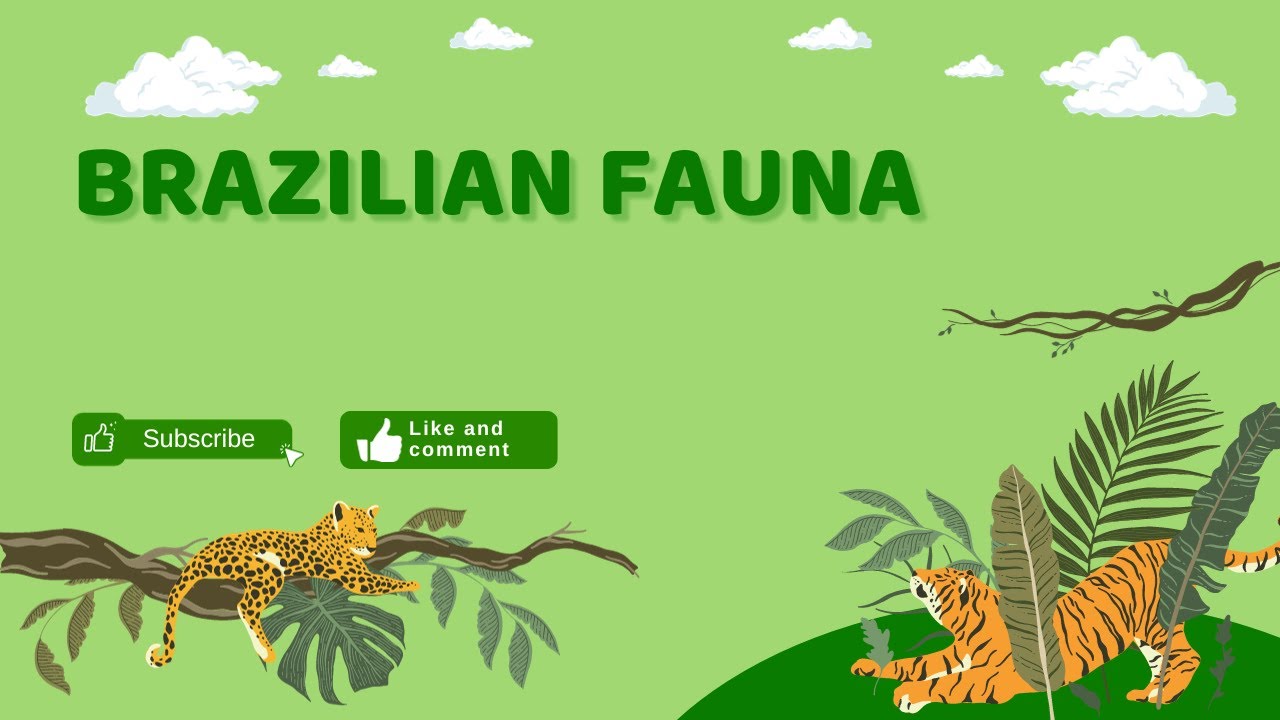 Discovering the Wonders of Brazilian Fauna - YouTube