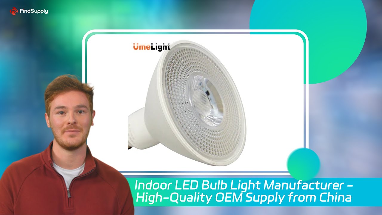 Indoor LED Bulb Light Manufacturer - High-Quality OEM Supply from China ...