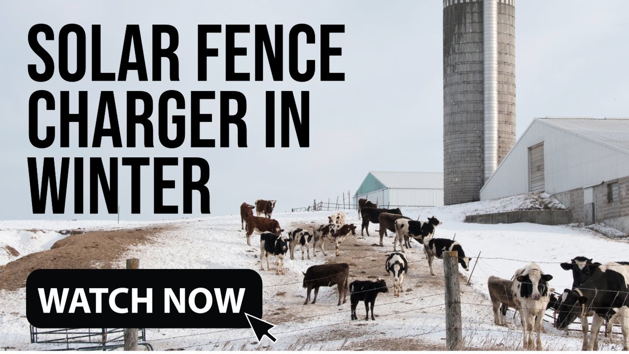 Speedrite S1000 Solar Electric Fence Energizer winter weather test ...