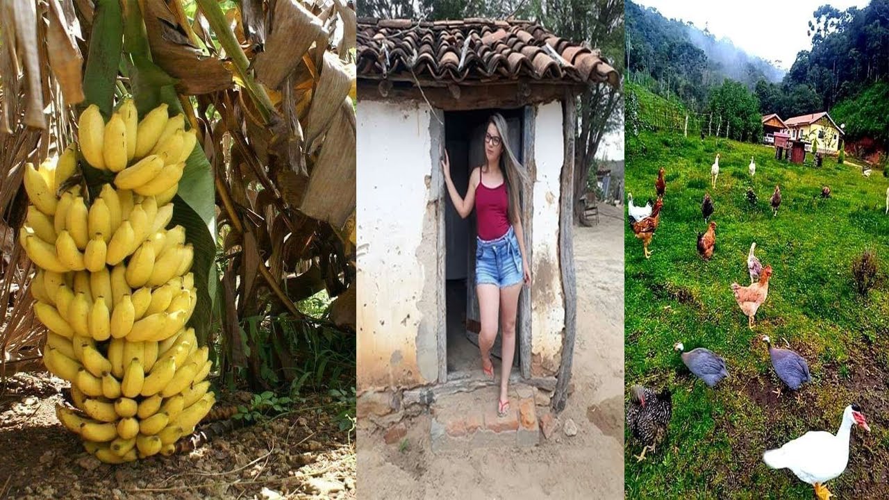 El Campo Y Su maravilla La Vida Del Campo En Republica Dominicana ...