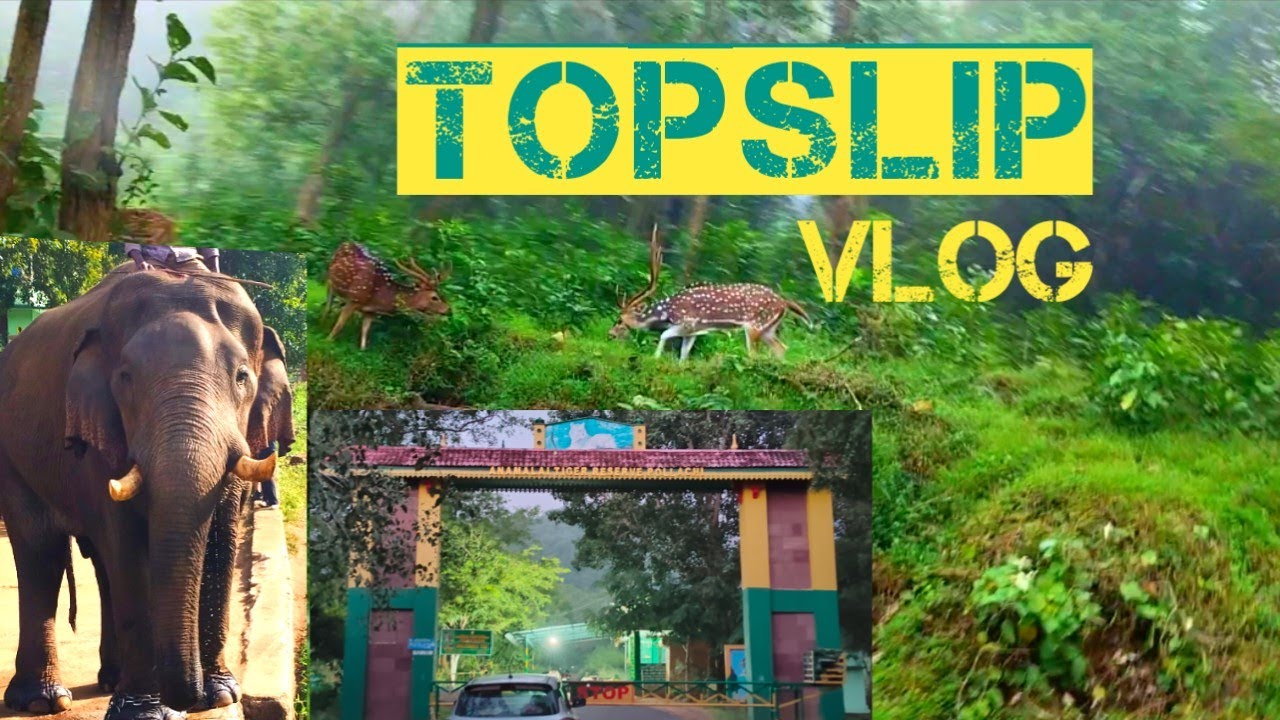 Topslip Tourist places Tamil | Elephant Camp | Anaimalai Tiger Reserve ...