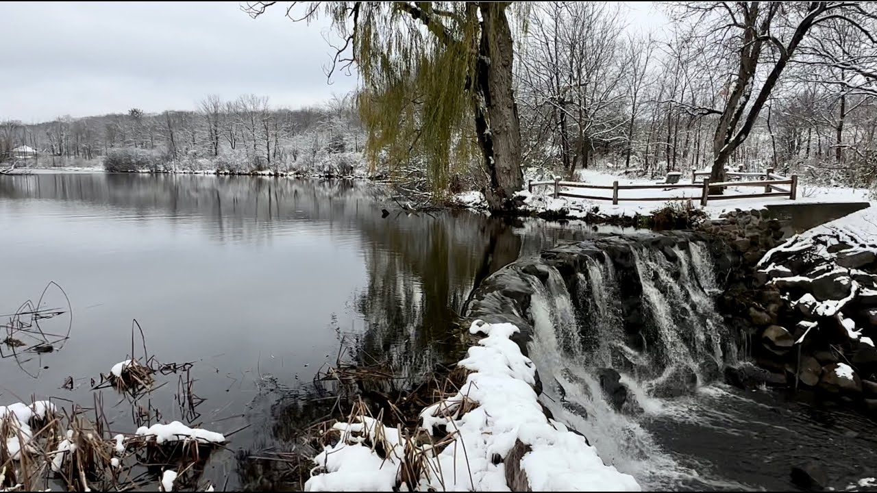 A Walk After a Snowfall: 4K Virtual Winter Walk - Walking in a Snow ...