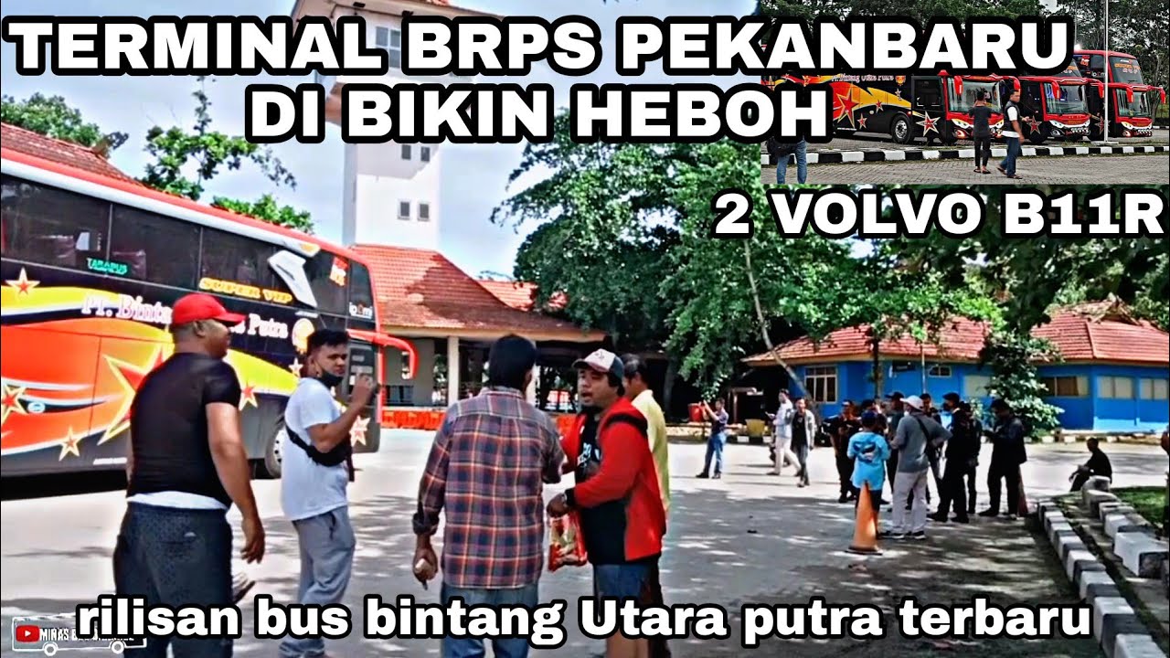 KEDATANGAN 3 UNIT BUS BARU BUP HEBOHKAN TERMINAL BRPS PEKANBARU - YouTube