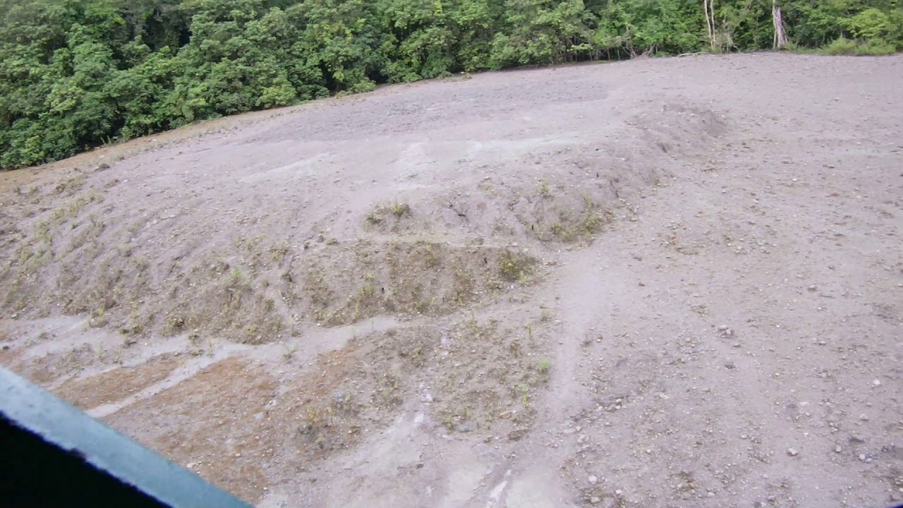 Tabin Wildlife Reserve day 1 mud volcano observation tower - YouTube
