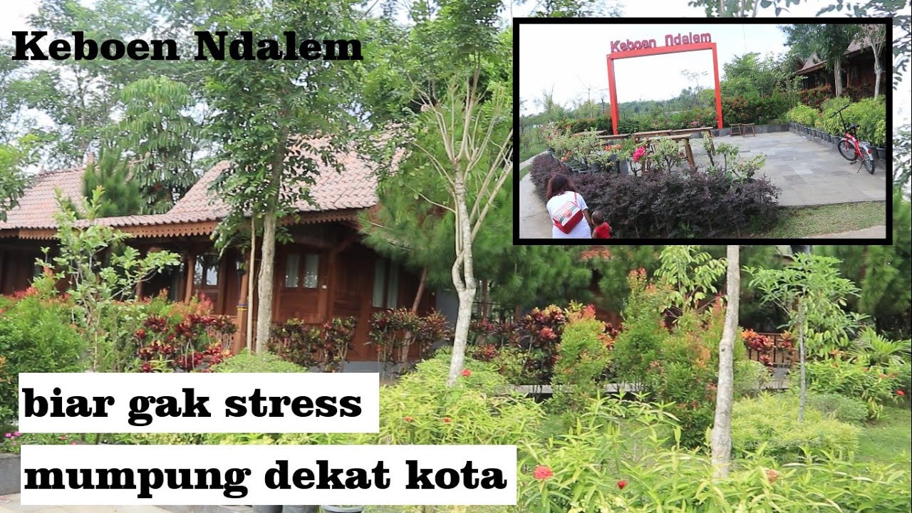 Wisata baru Semarang : KEBOEN NDALEM Homestay & Waroeng , tempat lari ...