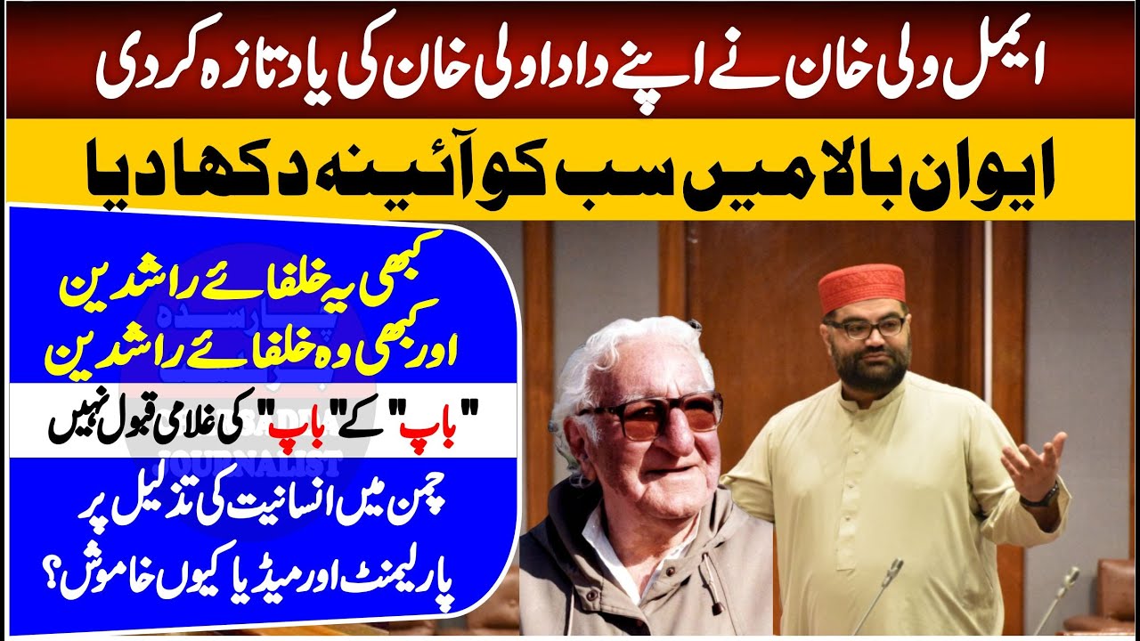 Aimal Wali Khan Sensational Speech In Senate Of Pakistan - Charsadda ...