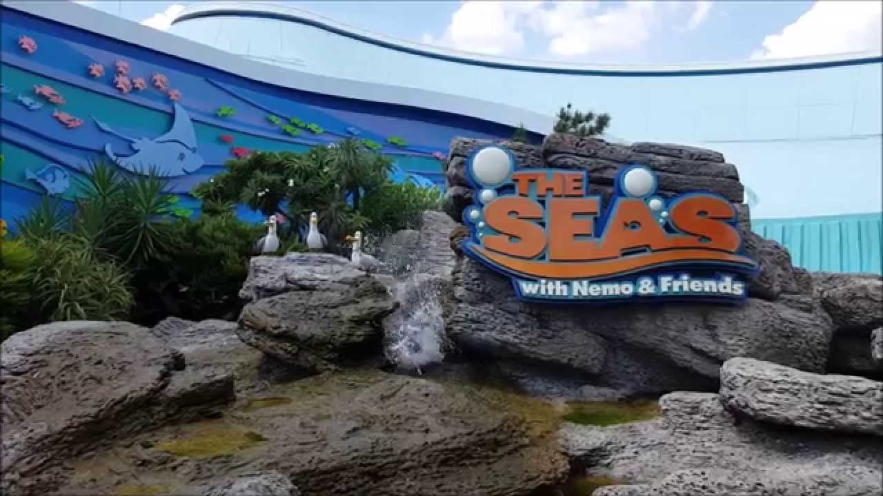 Epcot Seas with Nemo & Friends 'mine mine' birds! - YouTube