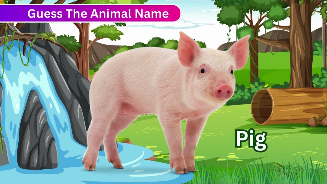 Guess The 13 Animals Name by Sound Game 2024 \diana game world famous ...