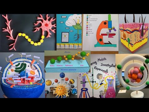Science project ideas | Science lab decoration ideas |Classroom ...