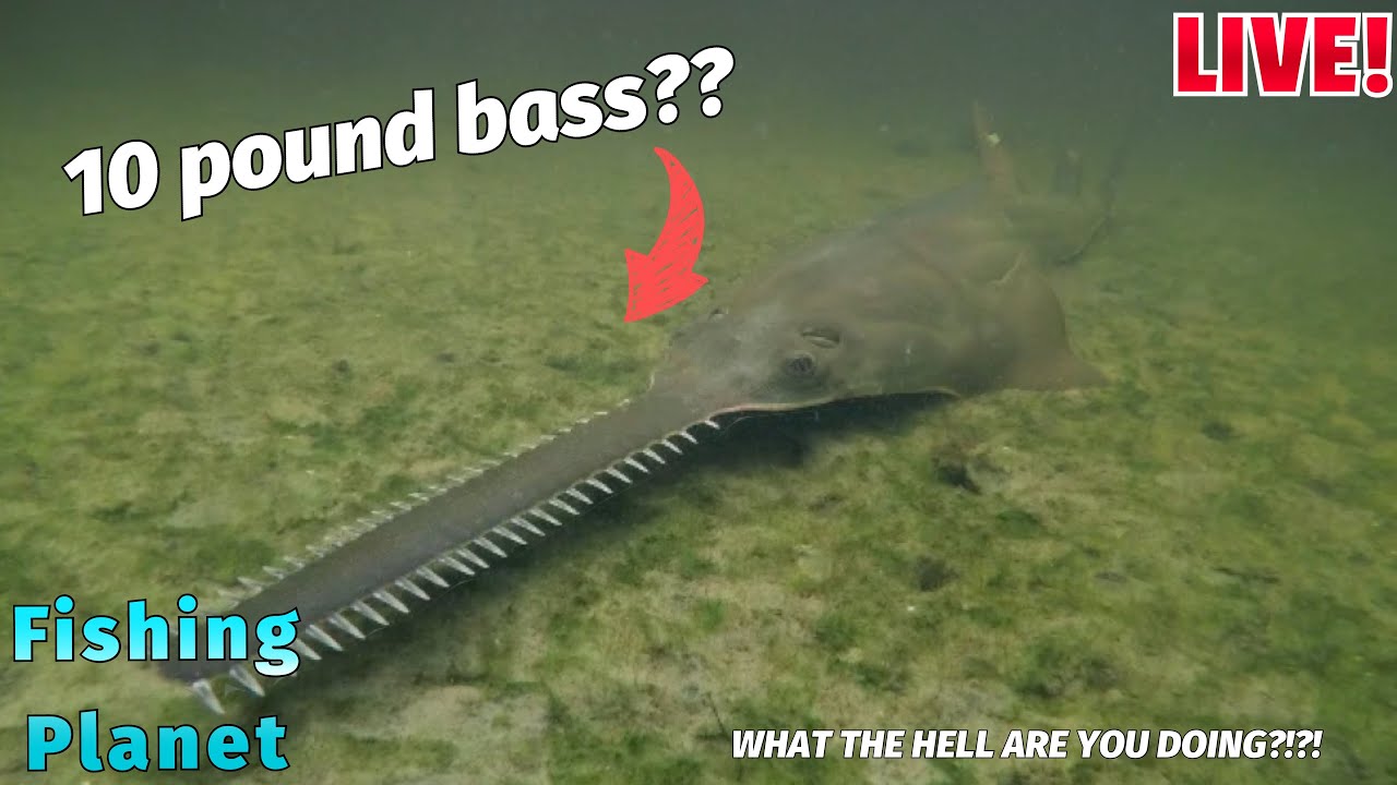 Is this a ten pound bass?!?! (Fishing Planet) - YouTube