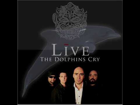 Live - Dolphin's Cry (Tradução) - YouTube