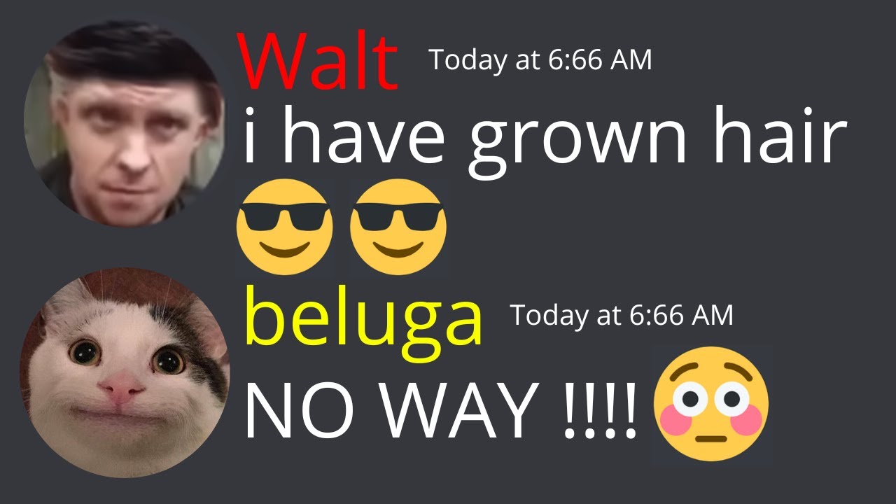 When Walt Gets His Hair Back... (Beluga) - YouTube
