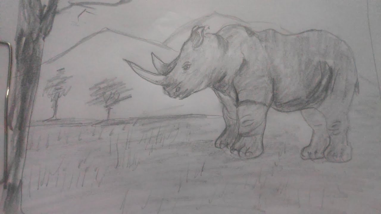 Rhinosaur drawing|how to draw a rhino🦏 - YouTube