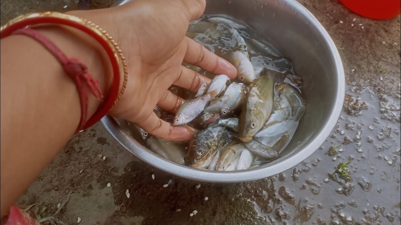 Ani busai nadini romoi charofyo Ty watoi nokbar fayoi nok ses wnkha 😥 ...