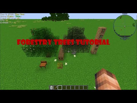 Forestry Trees Tutorial: SToby's Tutorials - YouTube