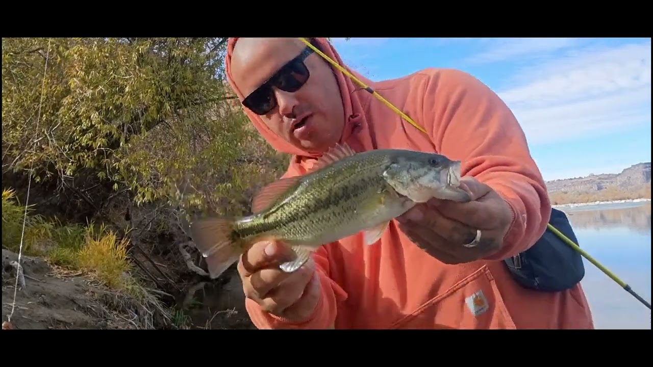 Finding the Fish on the Snake River.#idahofishing #idahooutdoors #carp ...