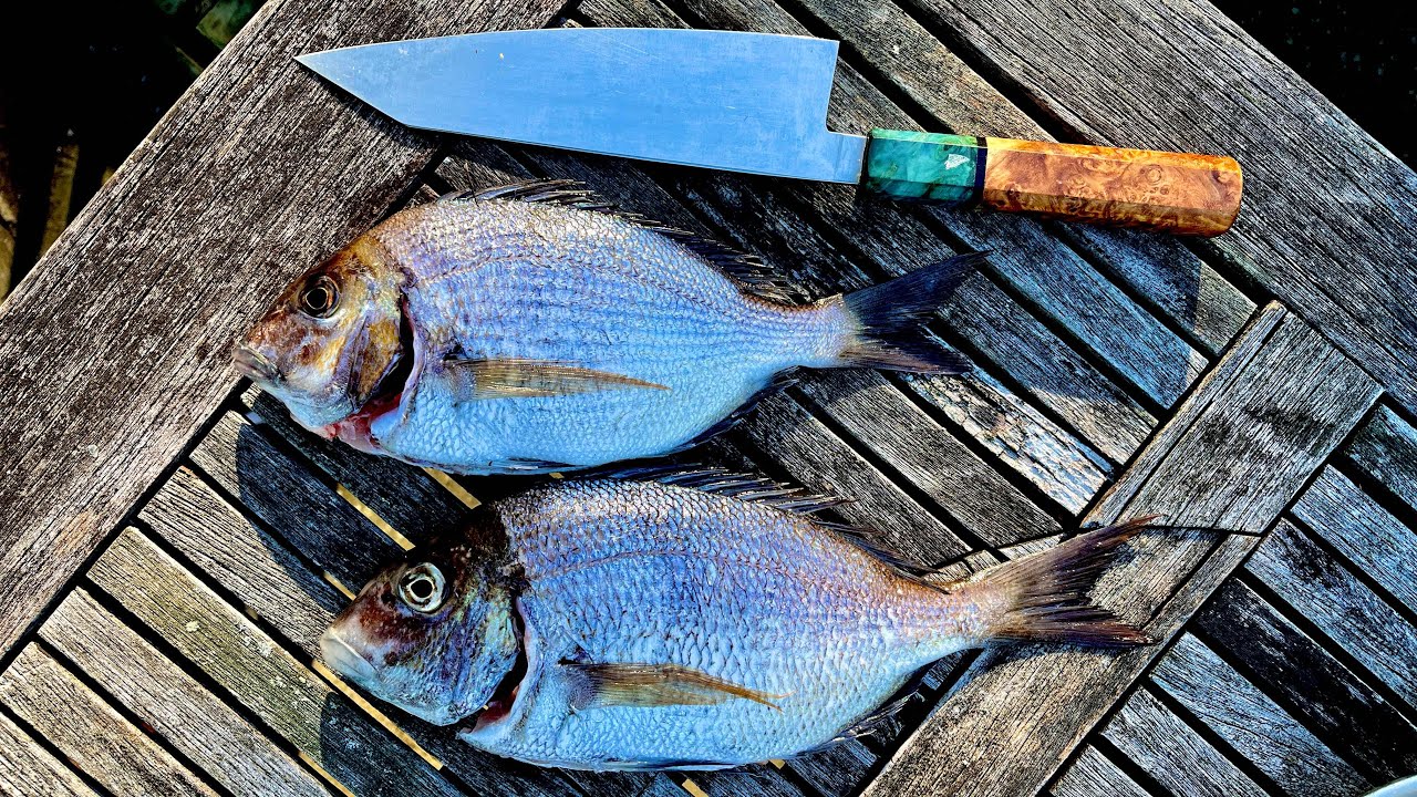 Jetty and Beach Fishing on Foot | Sweet And Sour Fried Fish - YouTube