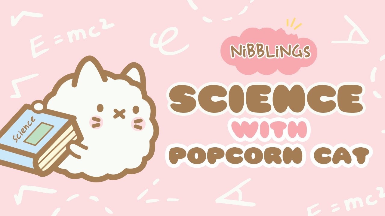 Science with Popcorn Cat | Nibblings Cartoons - YouTube