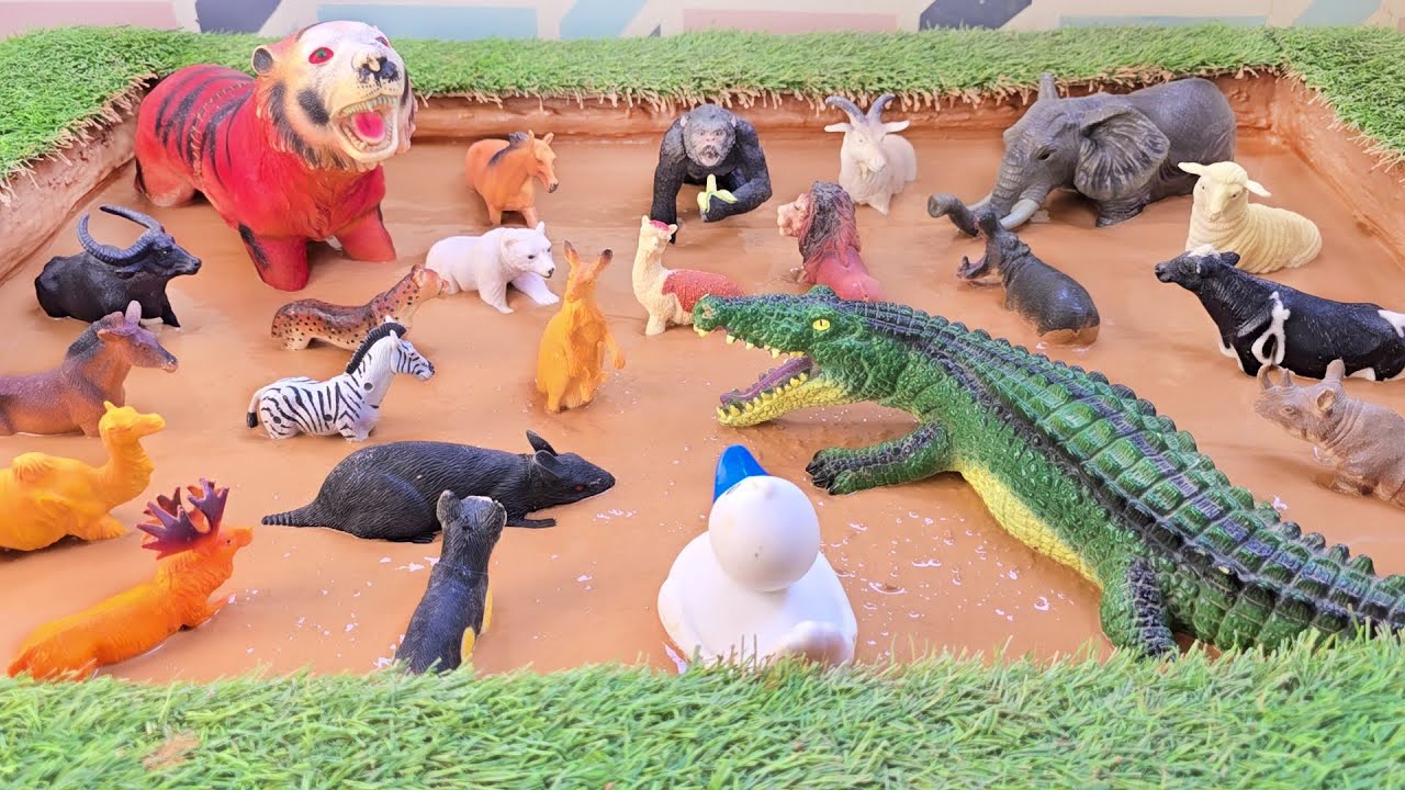 Trapped in the Mud: Safari, Farm and Forest Animals Adventure for ...
