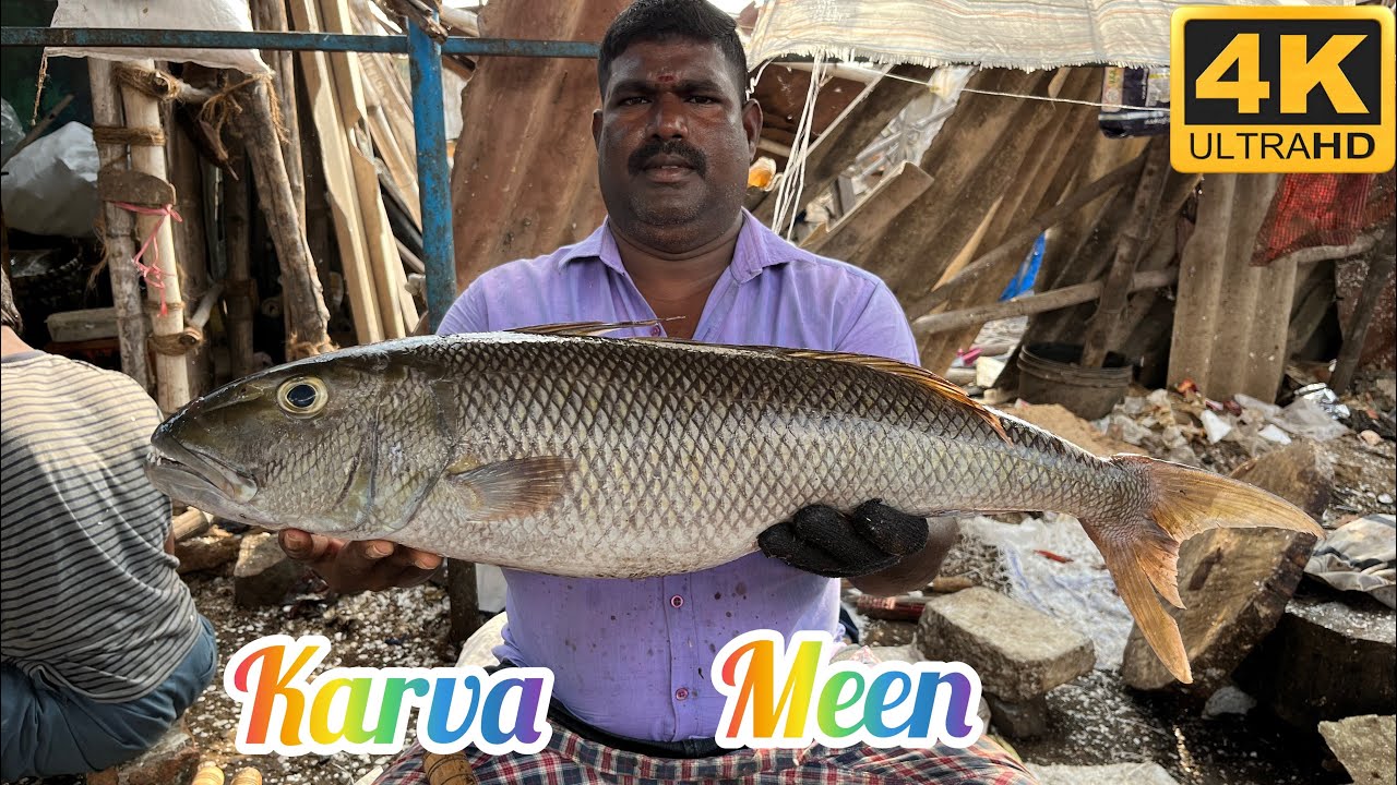 Karva Meen Paral fish cutting video/Fishcuttingrs #fishcuttingrs # ...